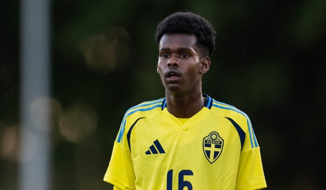 Alinur Elmi Roble - Kontrakt & statistik - Fotbolltransfers